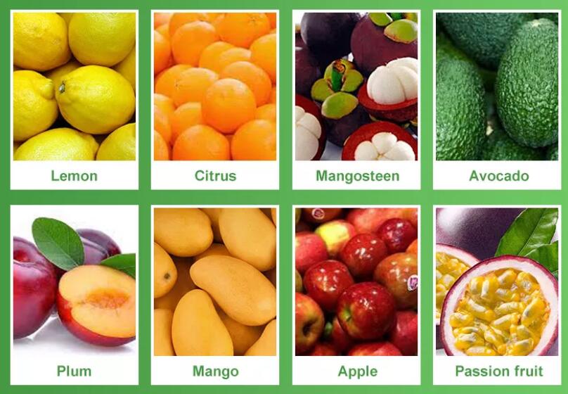 Roller Type Fruits Grading Machine - Buy fruits grading machine, China ...